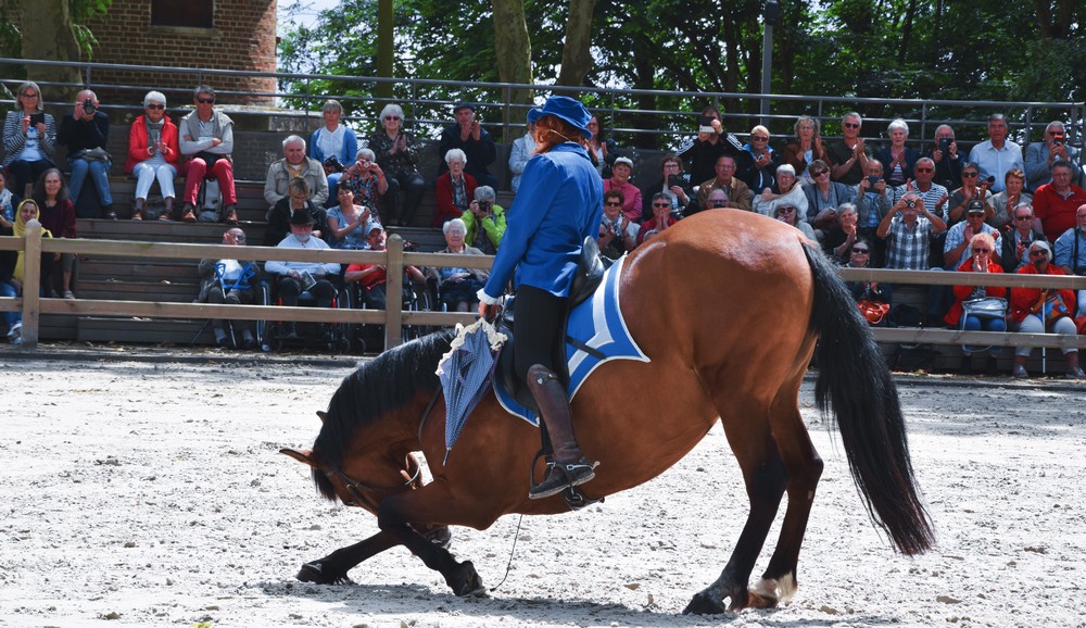 métier cheval "Cavalier(e) de spectacle" équi-ressources