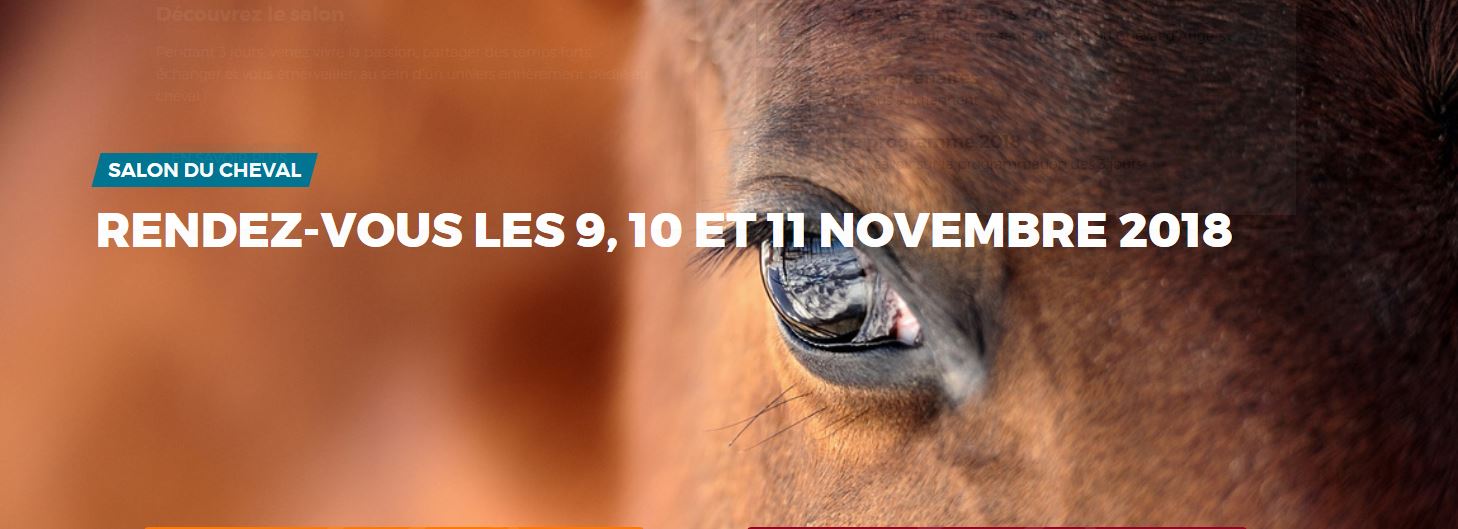 Equi-ressources actualités